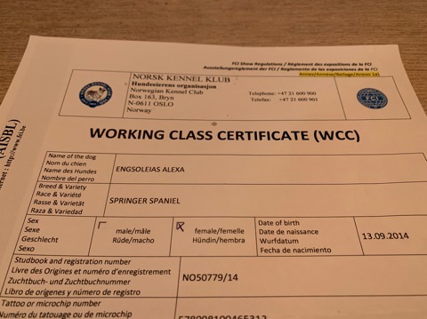 Working class certificate | Kennel Engsoleia